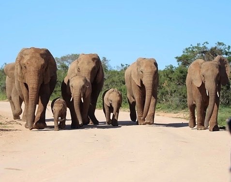 Blog – The People Hive